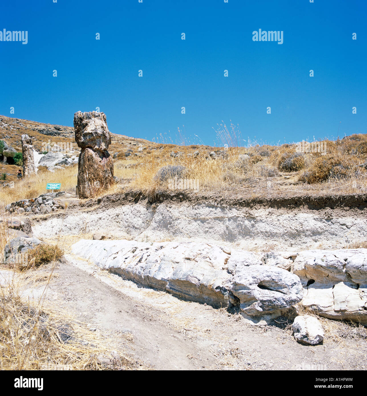 Petrified forest lesvos hi-res stock photography and images - Alamy