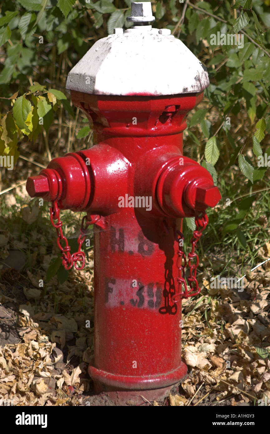 American red fire hydrant Stock Photo - Alamy