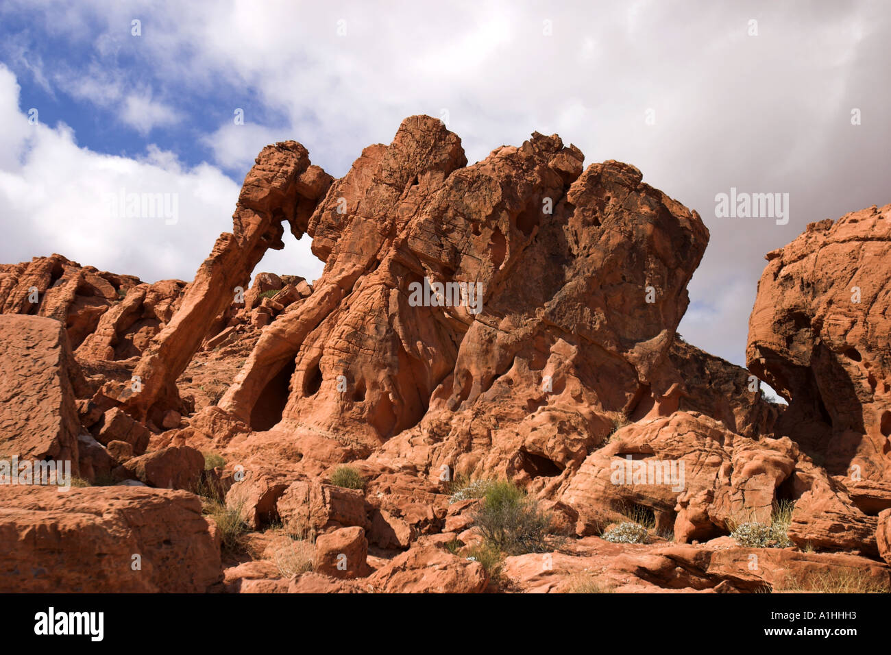 Elephant Rock a formation in the shape of an elephant in Valley of Fire ...