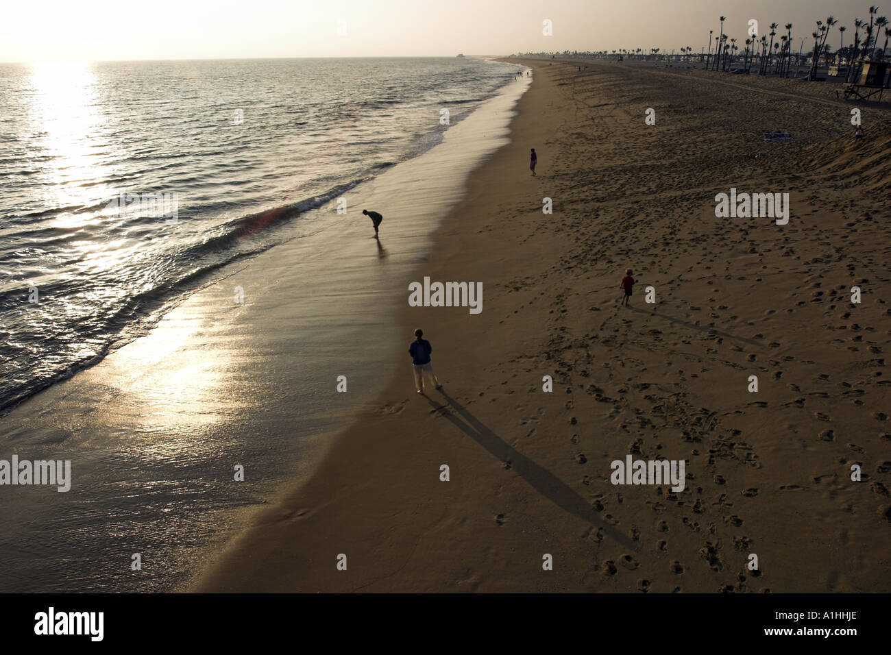Beachcomb Beachcombing Beachcomber High Resolution Stock Photography ...