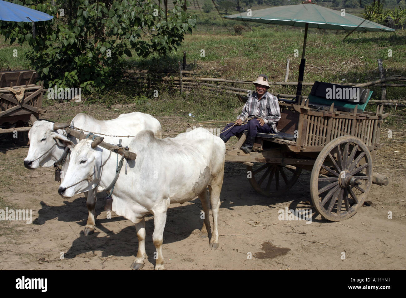 Ox drawn wagon hi-res stock photography and images - Alamy