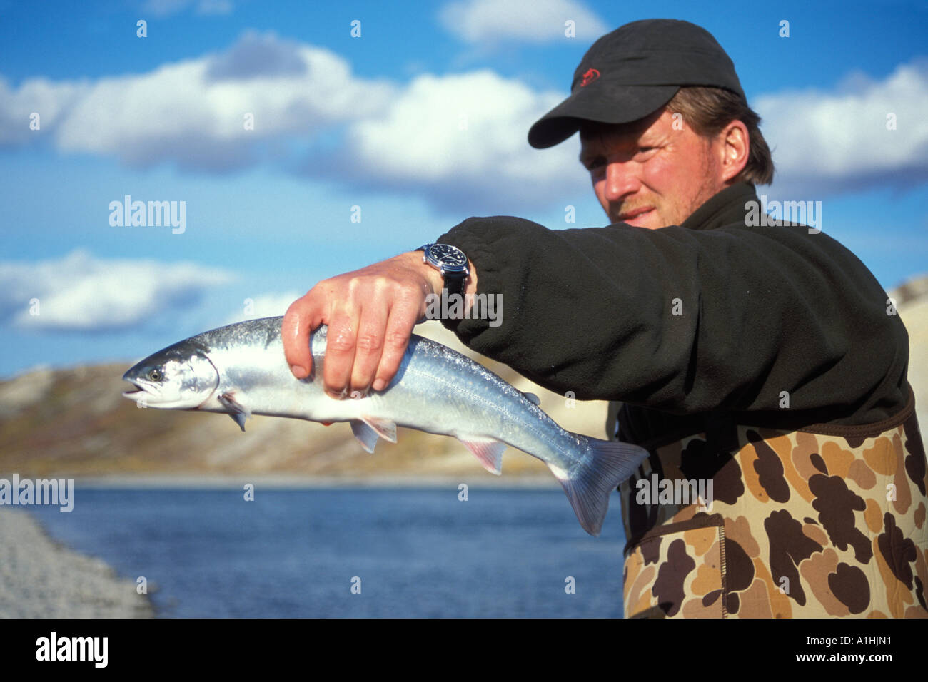Arctic char alaska hi-res stock photography and images - Alamy