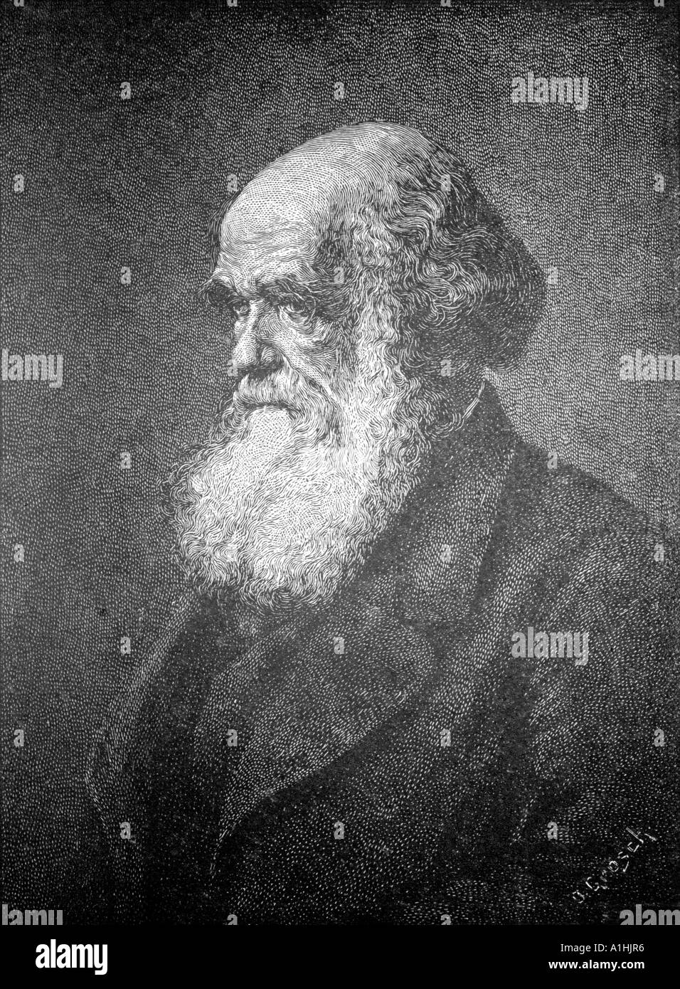 Charles darwin hi-res stock photography and images - Alamy