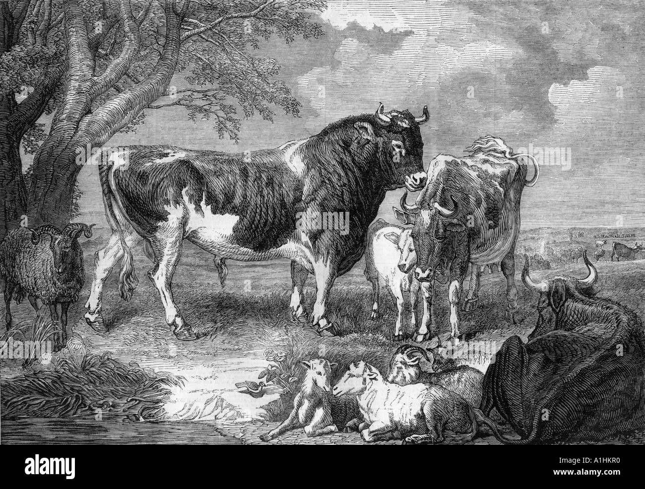 James ward hi-res stock photography and images - Alamy
