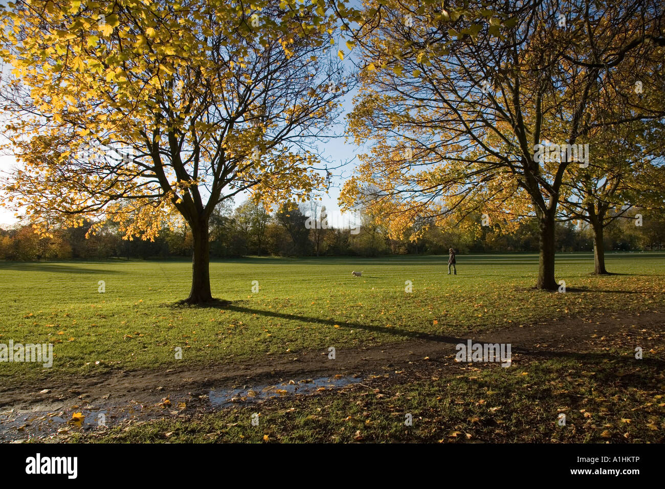 London uk autumn hi-res stock photography and images - Alamy