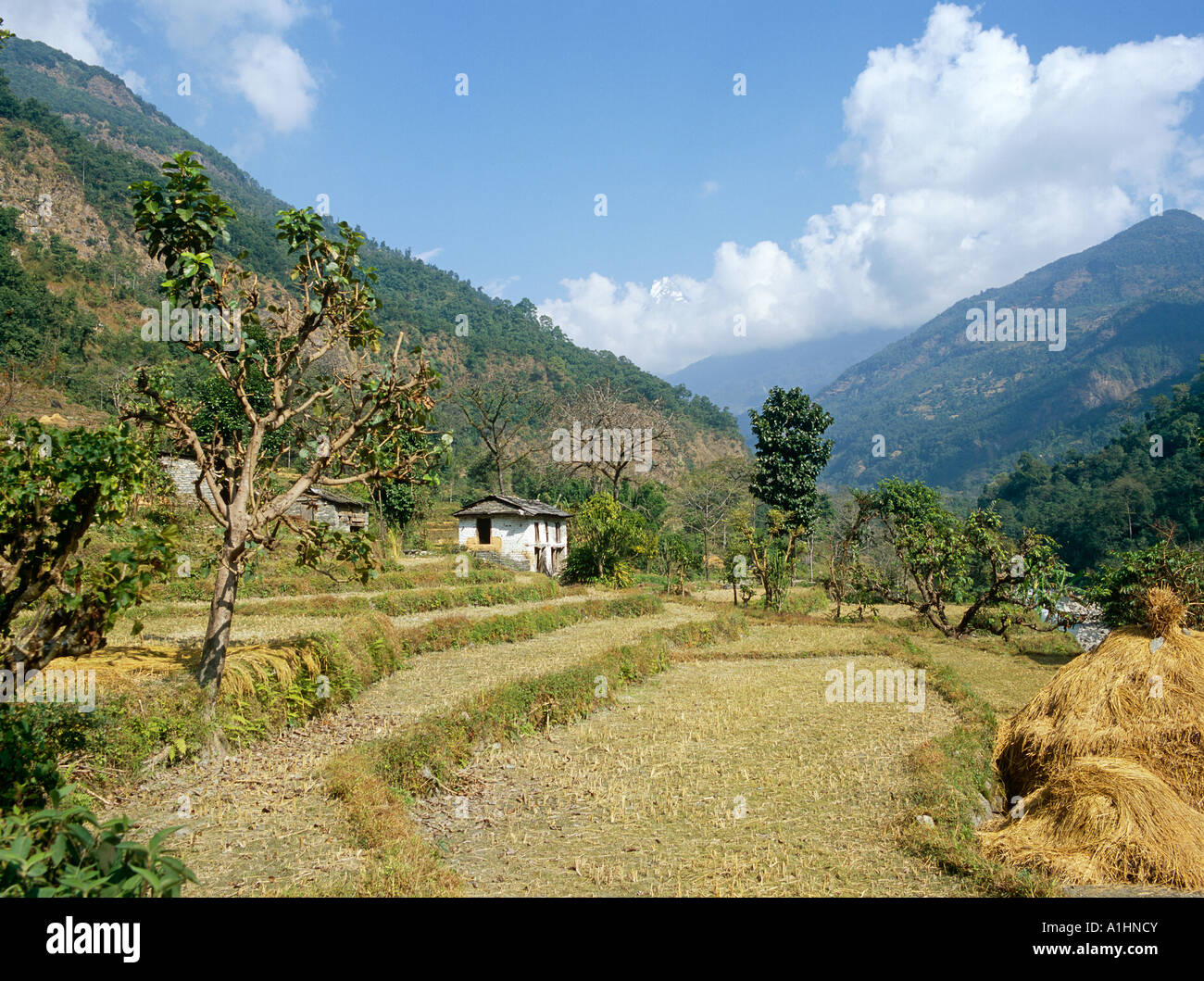 Trekking In The Foothills Of The Annapurna Himalayas Nepal Asia Stock ...