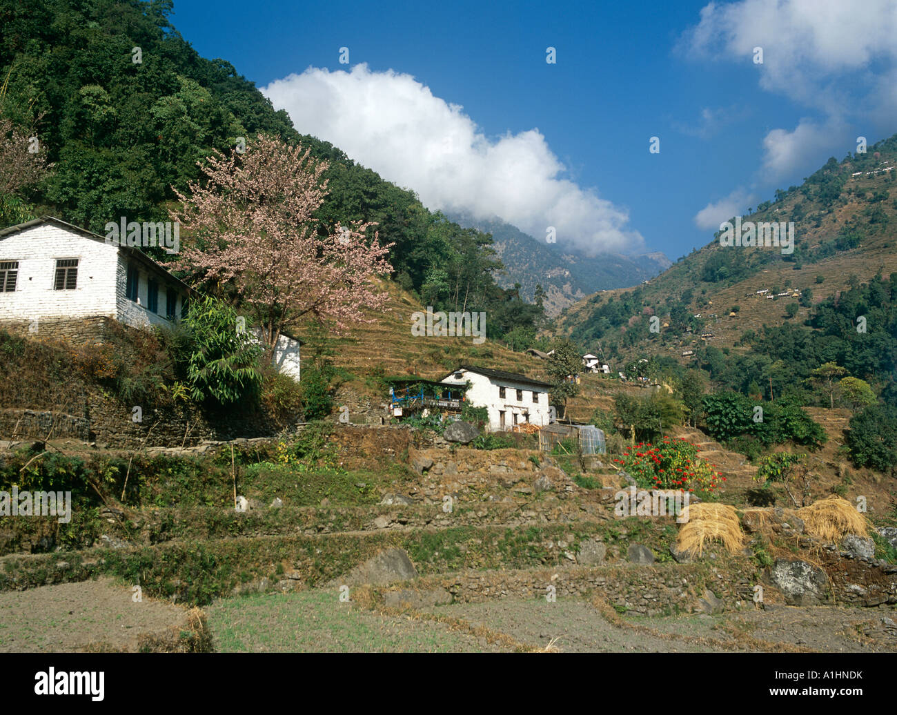Himalayas village beautiful mountain hi-res stock photography and ...