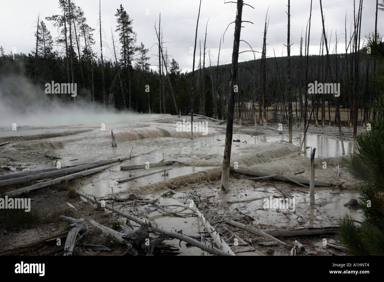 Steam raising from super heated water with hot water runoff destroying ...