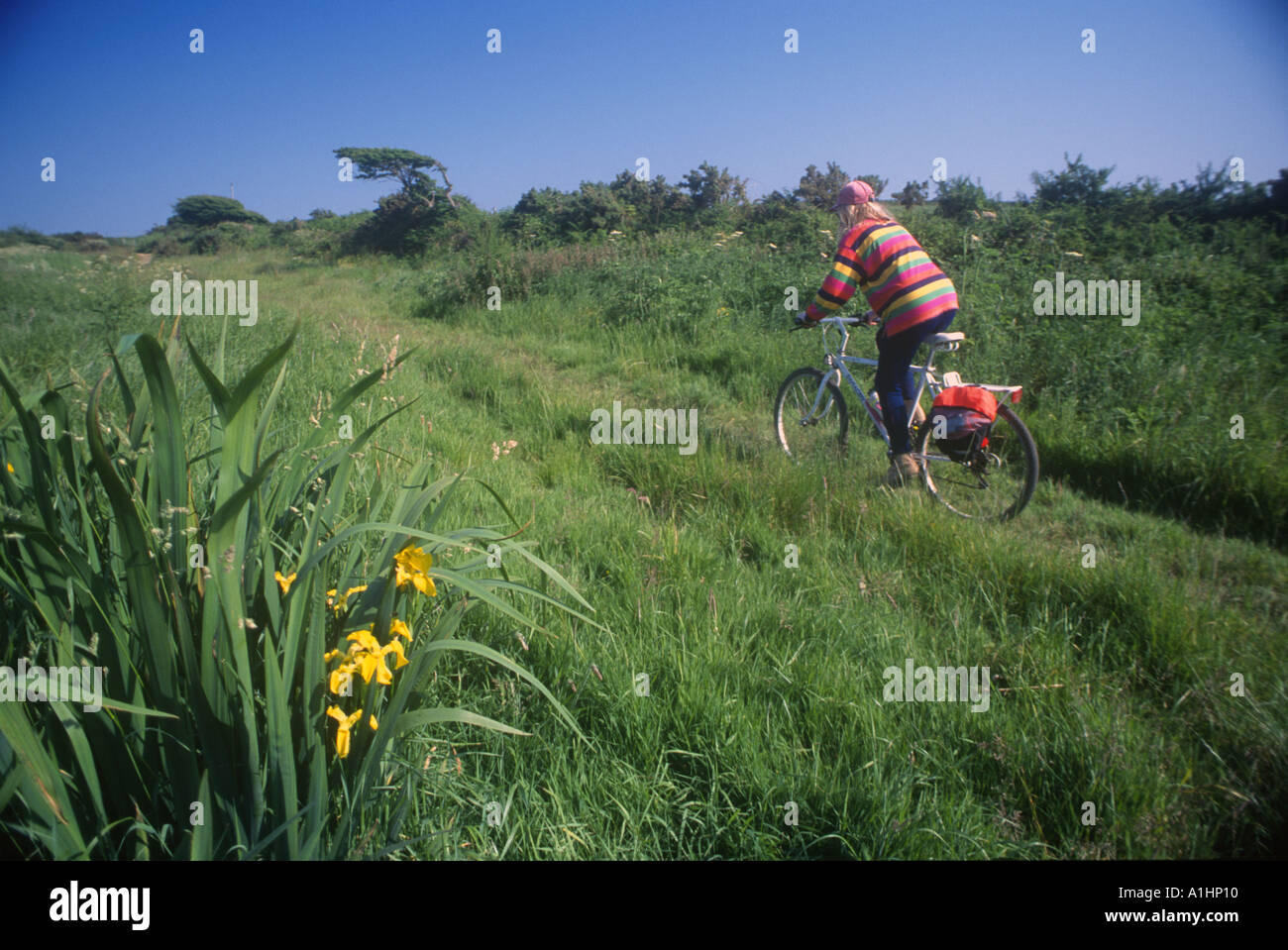 Cycling on the Gower Peninsular South Wales Stock Photo - Alamy