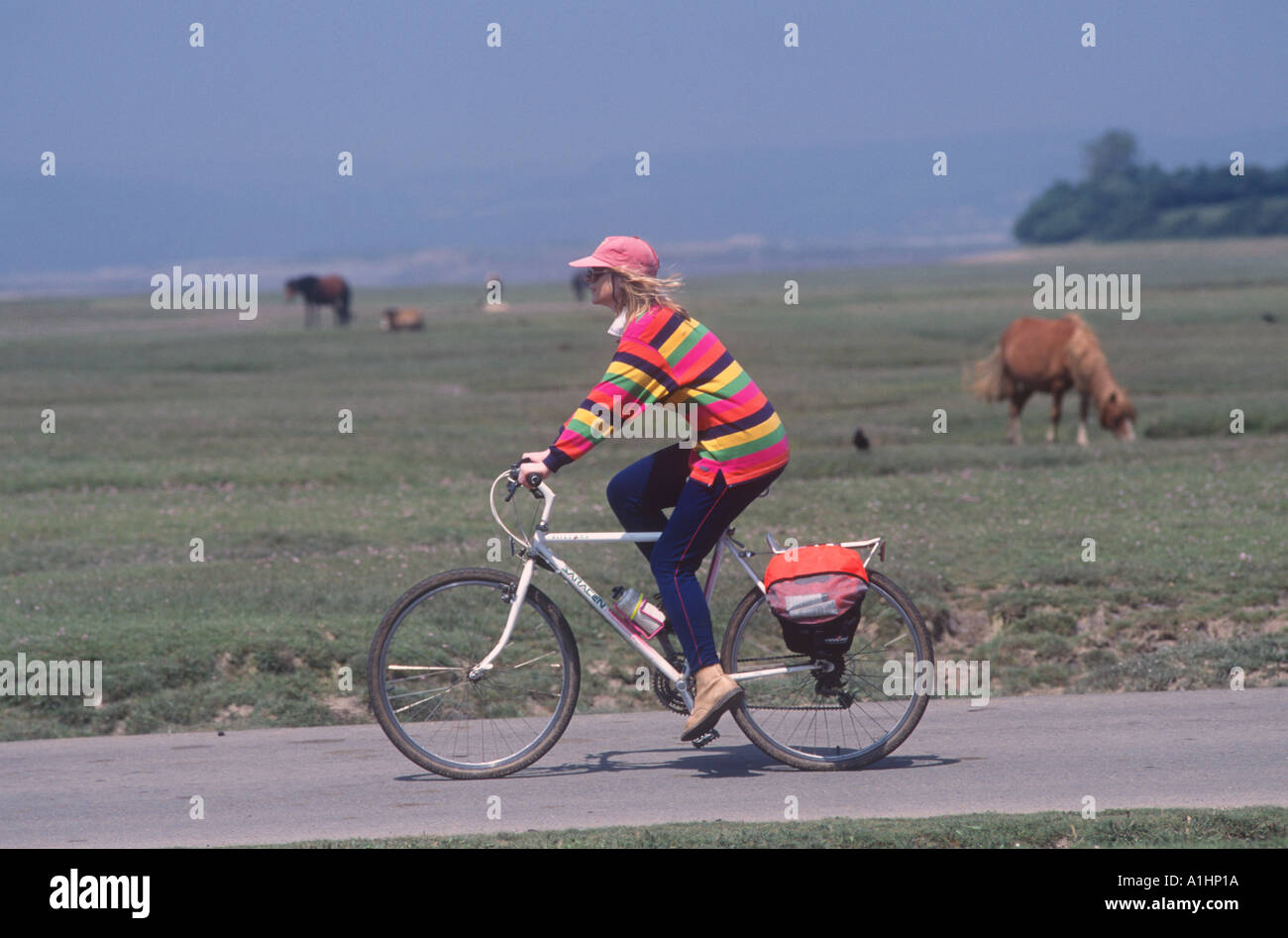 Cycling on the Gower Peninsular South Wales Stock Photo - Alamy