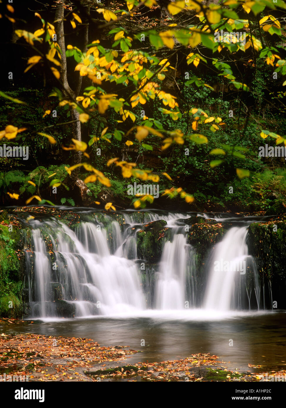 Glyth hi-res stock photography and images - Alamy