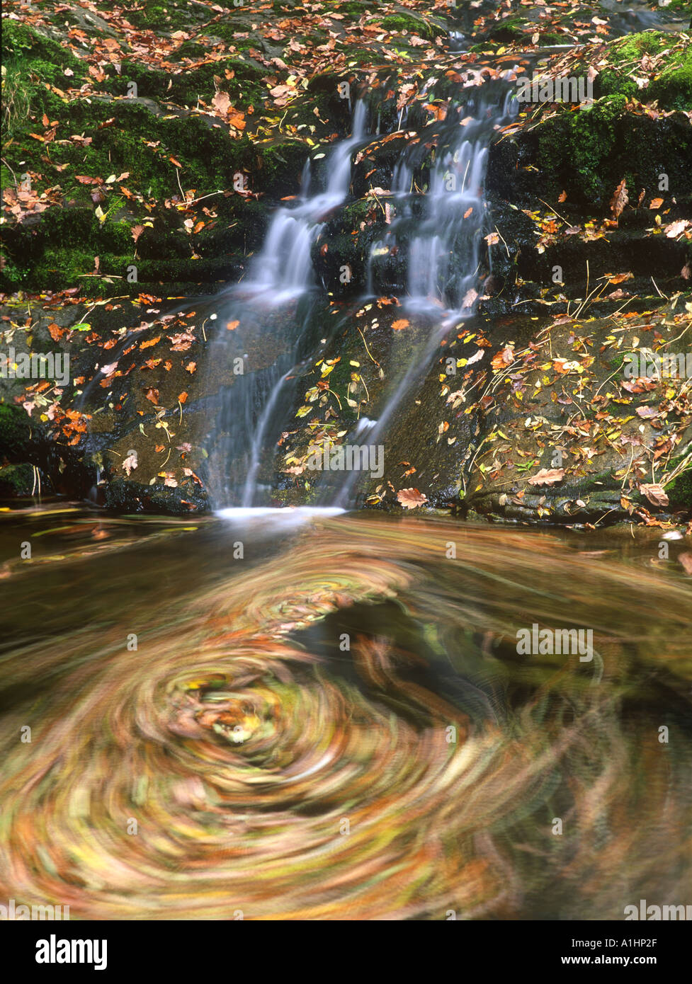 Small Waterfall and Reflections in Pool Environment Wales Stock Photo ...