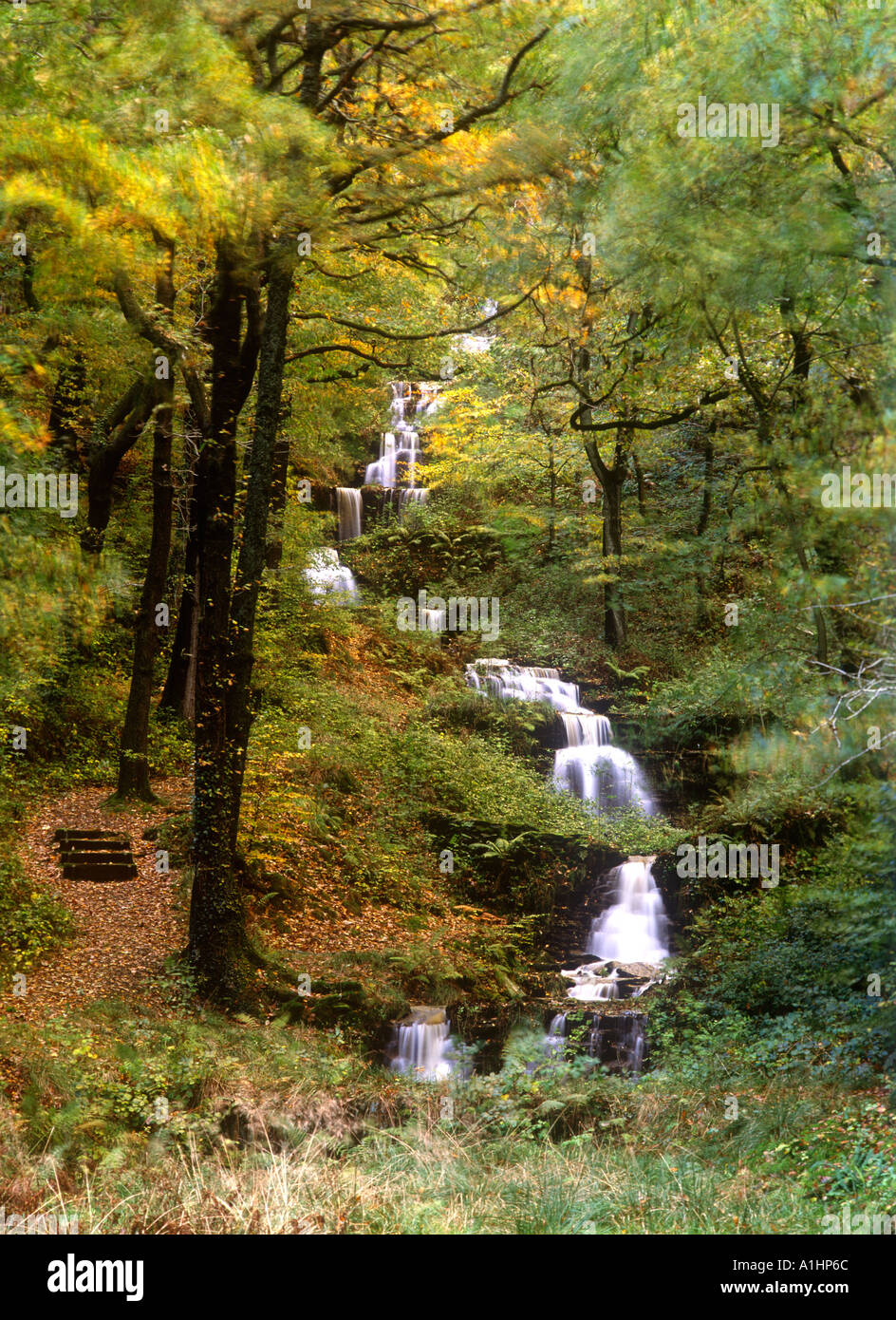 Waterfall Moss Cascades Gnoll Park Neath South Wales Stock Photo - Alamy