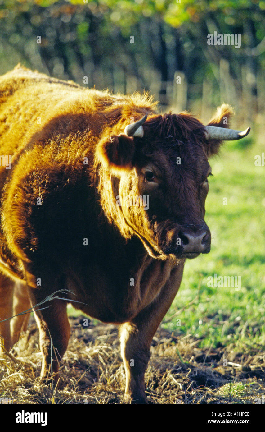 Vertica farm hi-res stock photography and images - Alamy