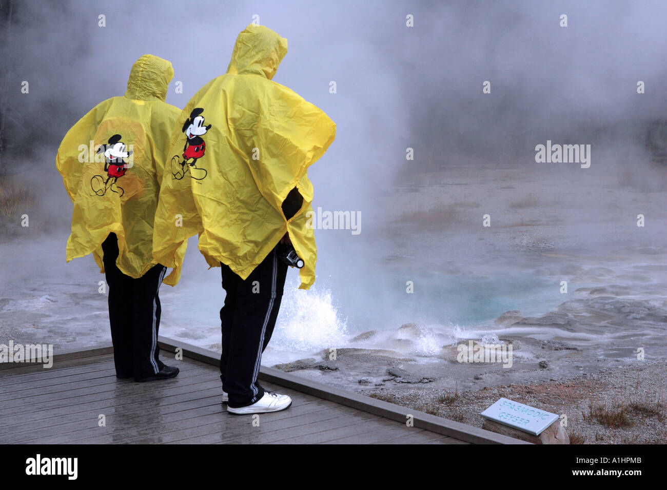 Two people in yellow rain capes on boardwalk looking at the Spasmodic ...