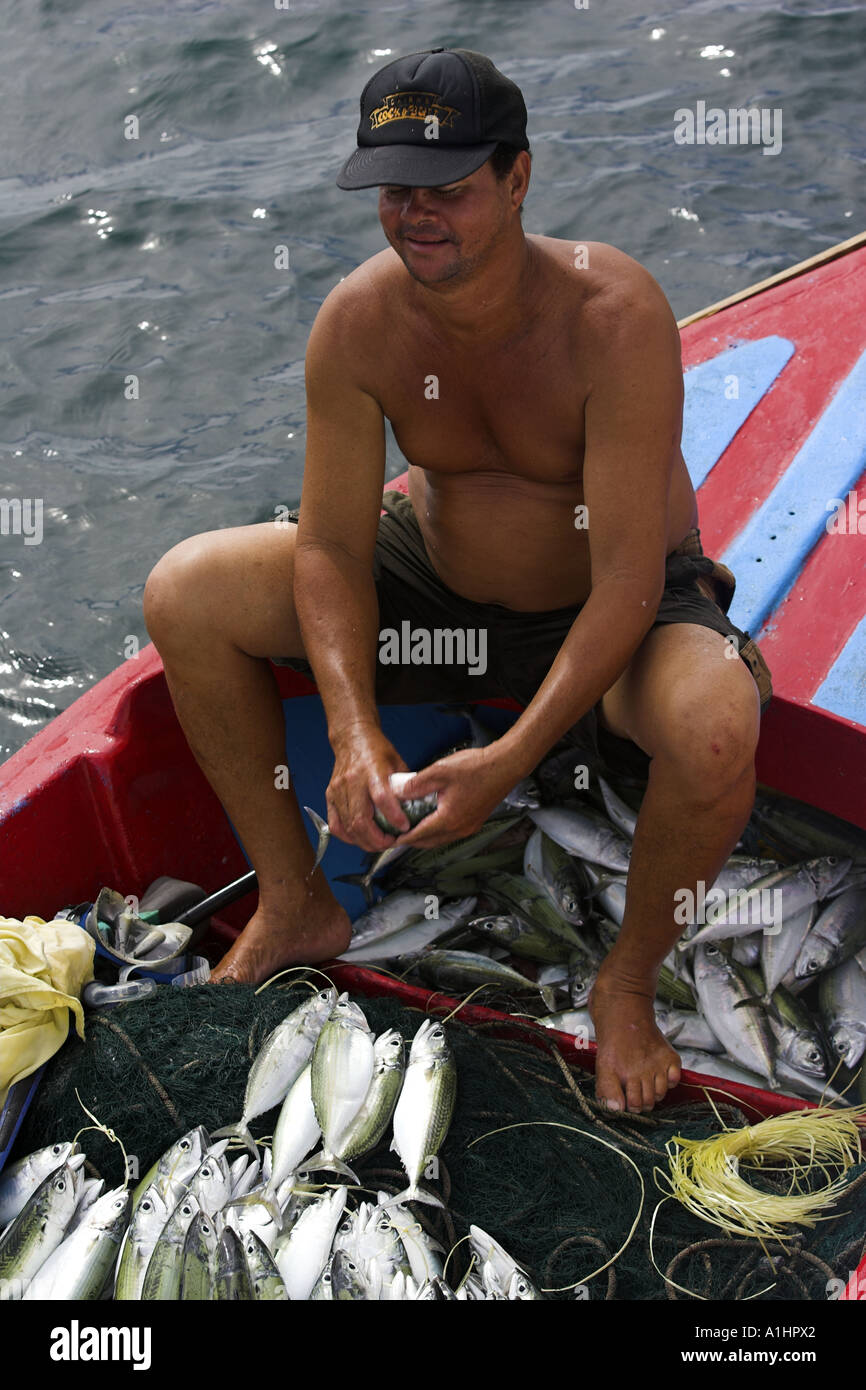 Portly Seychellois man stringing together freshly caught mackerel Stock Photo - Alamy