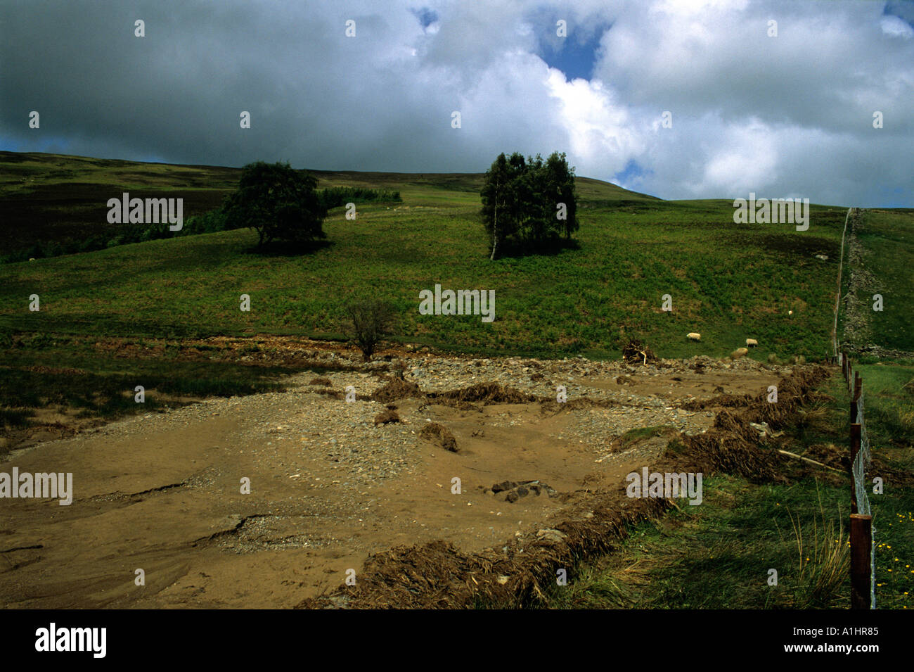 Flood damage silt hi-res stock photography and images - Alamy