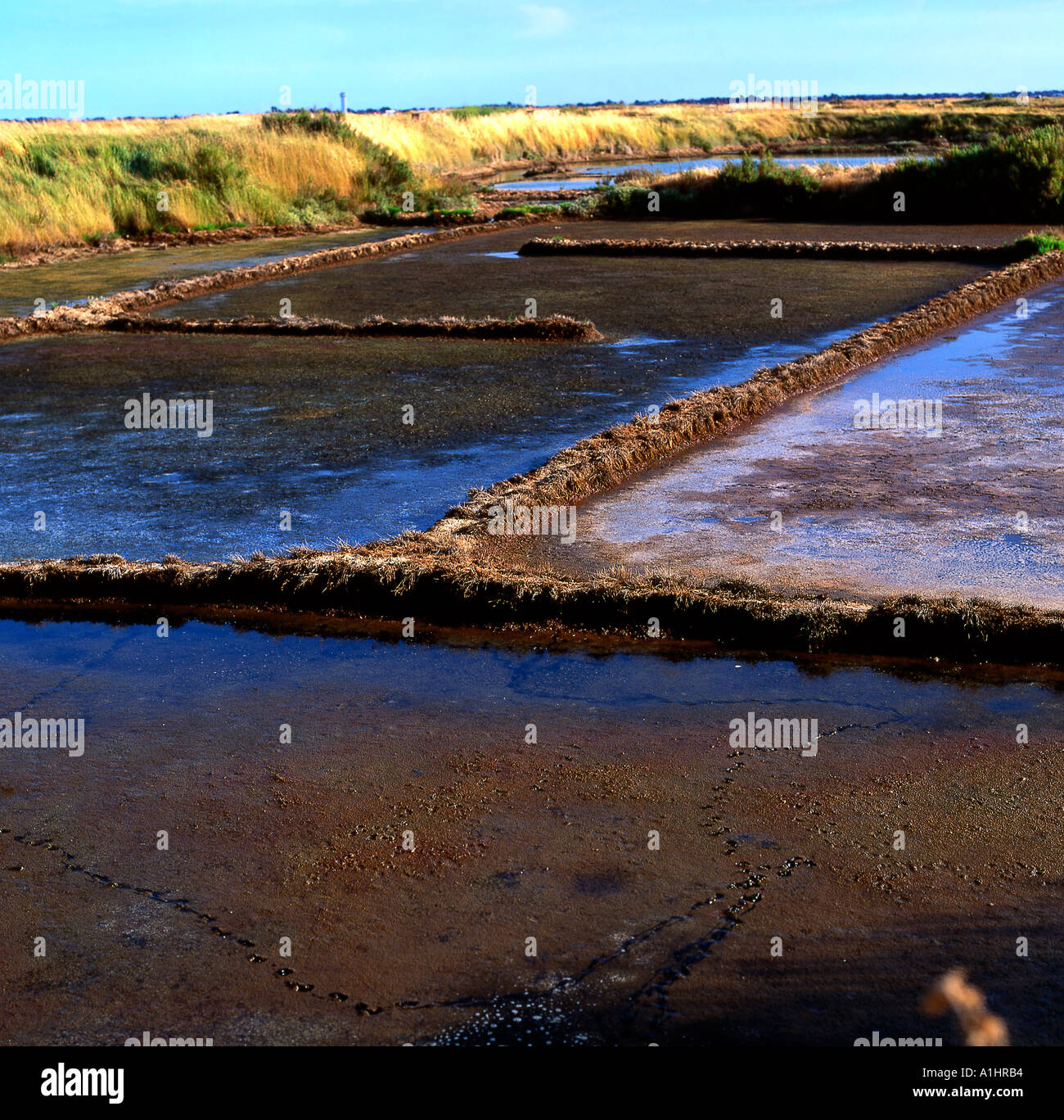 Salt Farm at Guerande Brittany France Stock Photo - Alamy