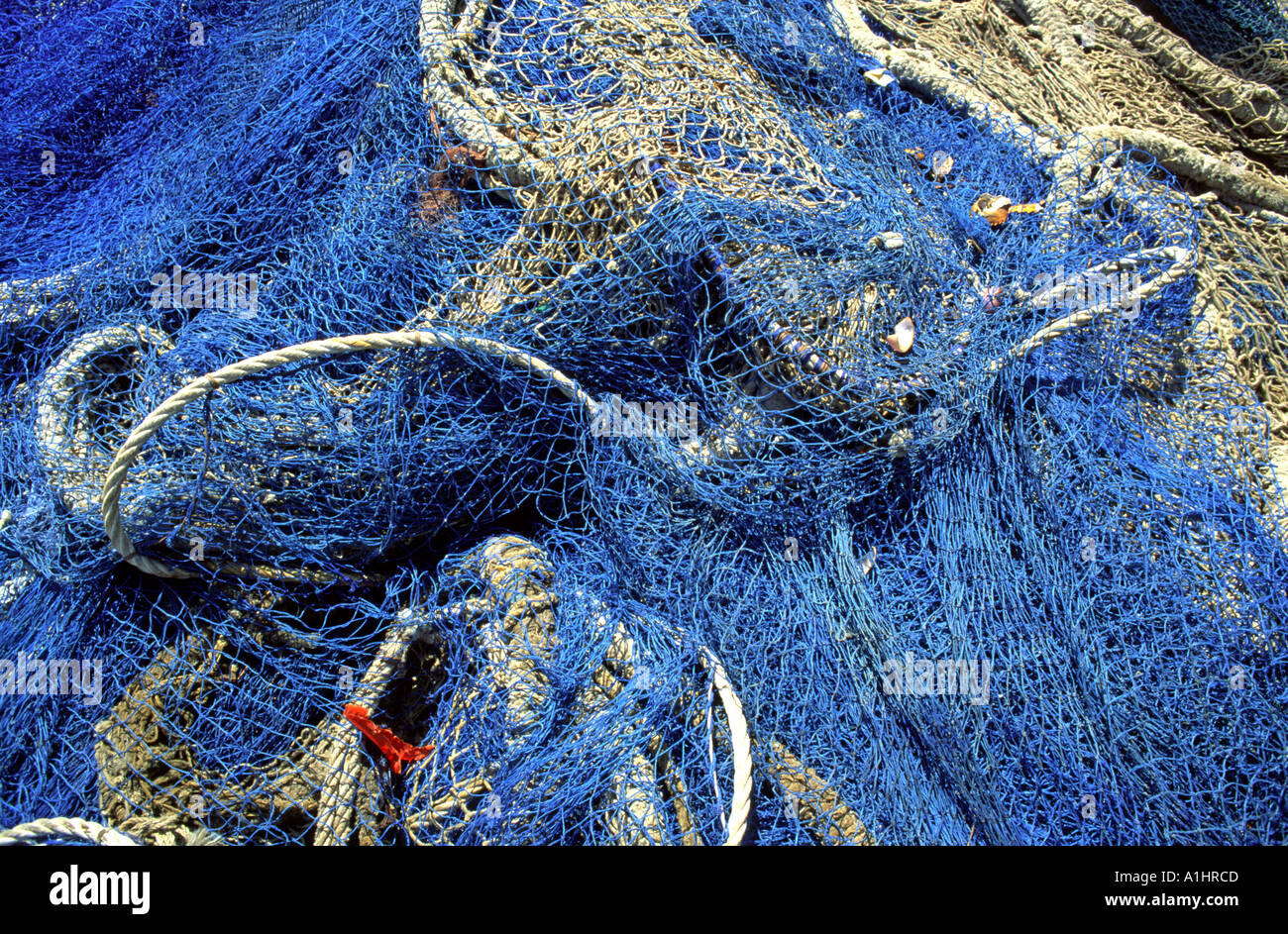 Fishnet package hi-res stock photography and images - Alamy