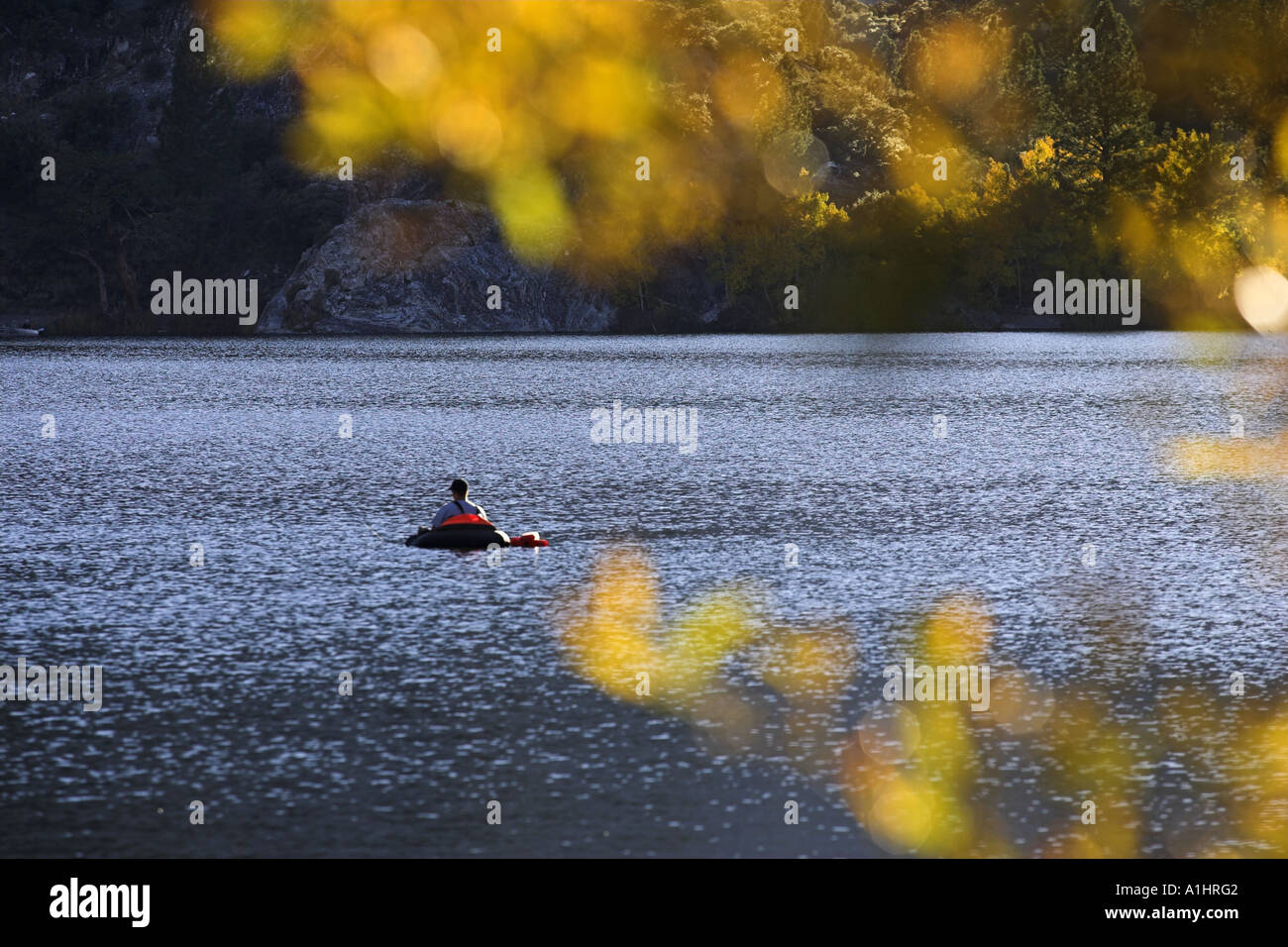 Quality fishing hi-res stock photography and images - Alamy