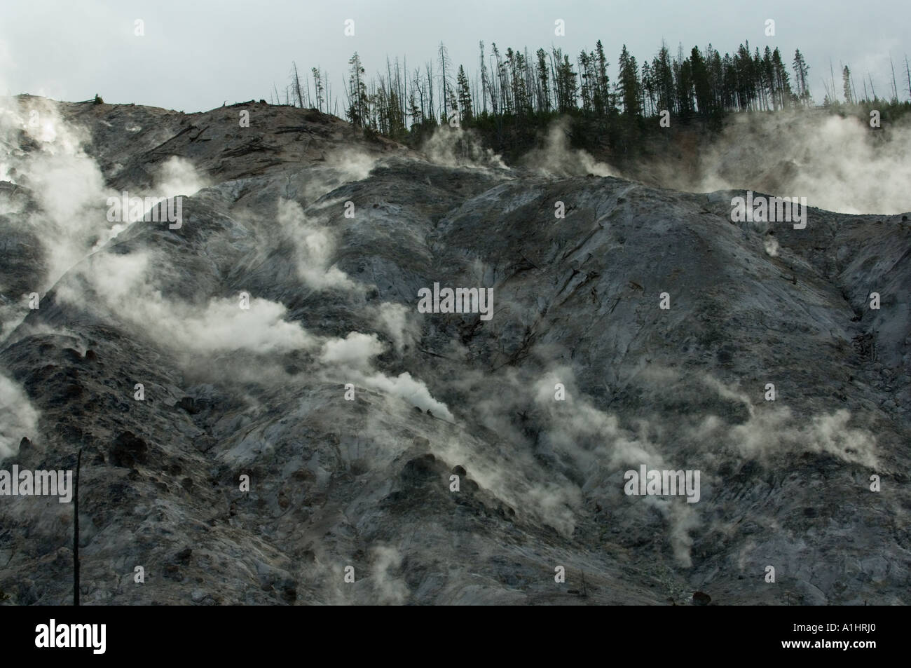 Roaring burn hi-res stock photography and images - Alamy
