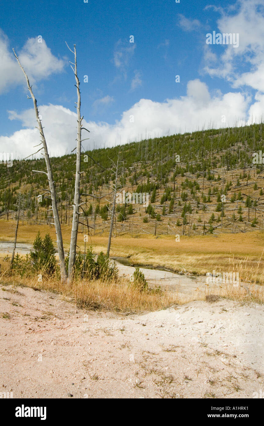 Yellowstone fire 1988 hi-res stock photography and images - Alamy