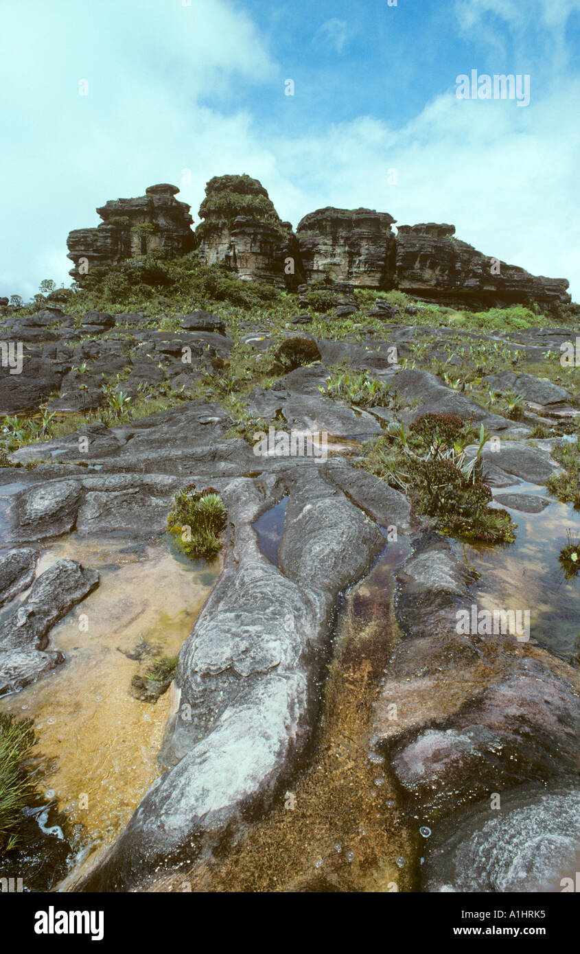 On the summit of Kukenan Tepui Near Monte Roraima in the Gran Sabana ...