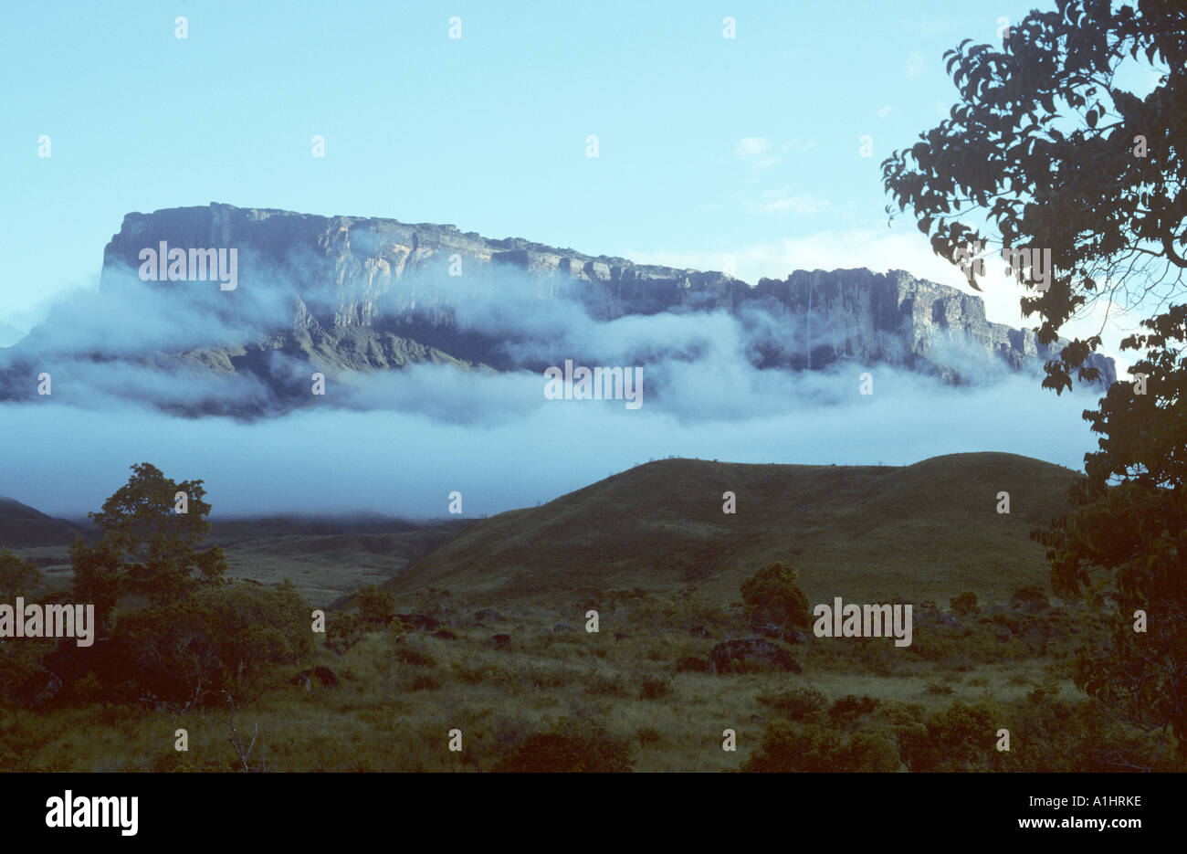 Kukenán tepui hi-res stock photography and images - Alamy