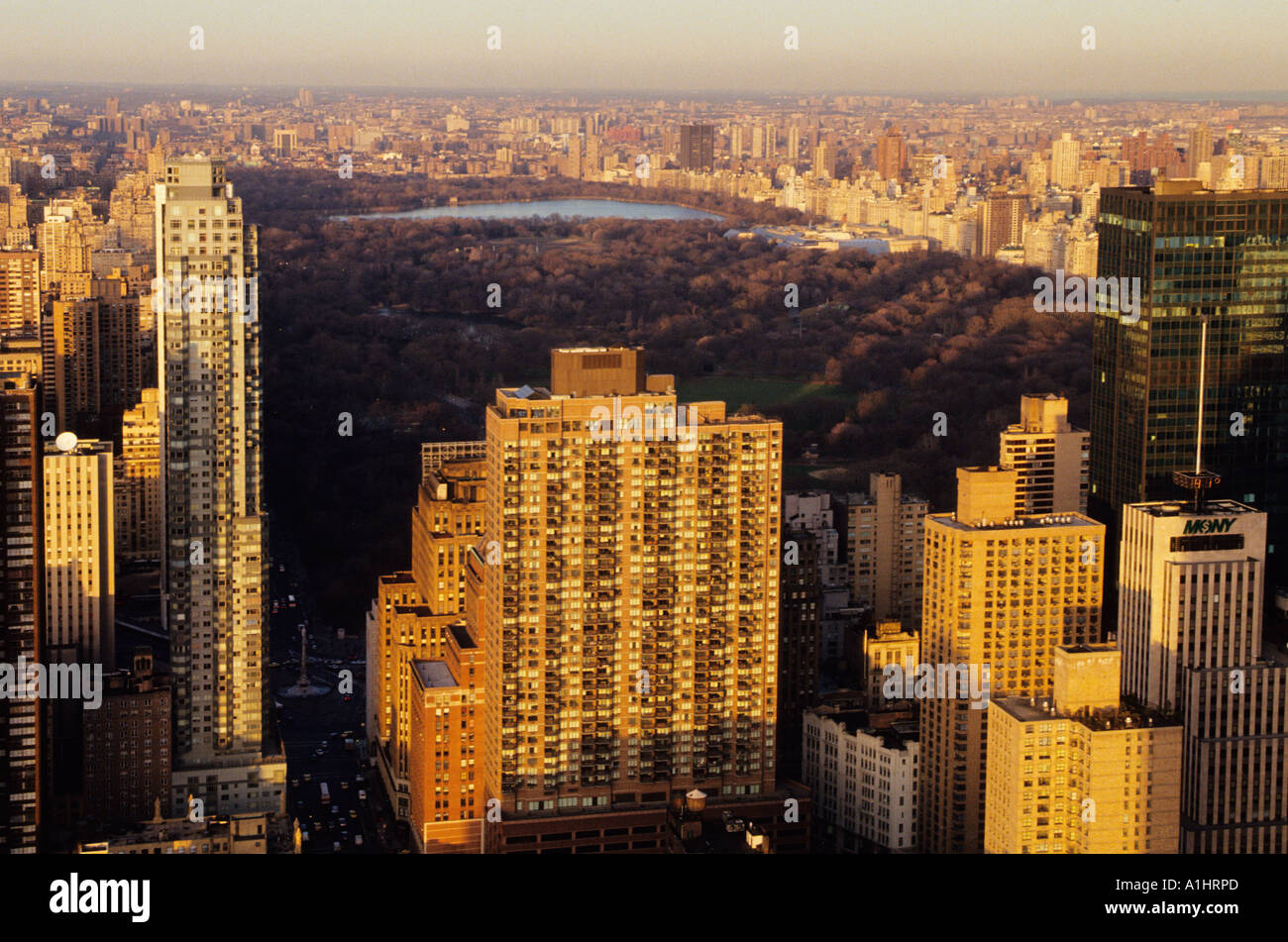 New York City aerial view from top of building of Central Park and the ...
