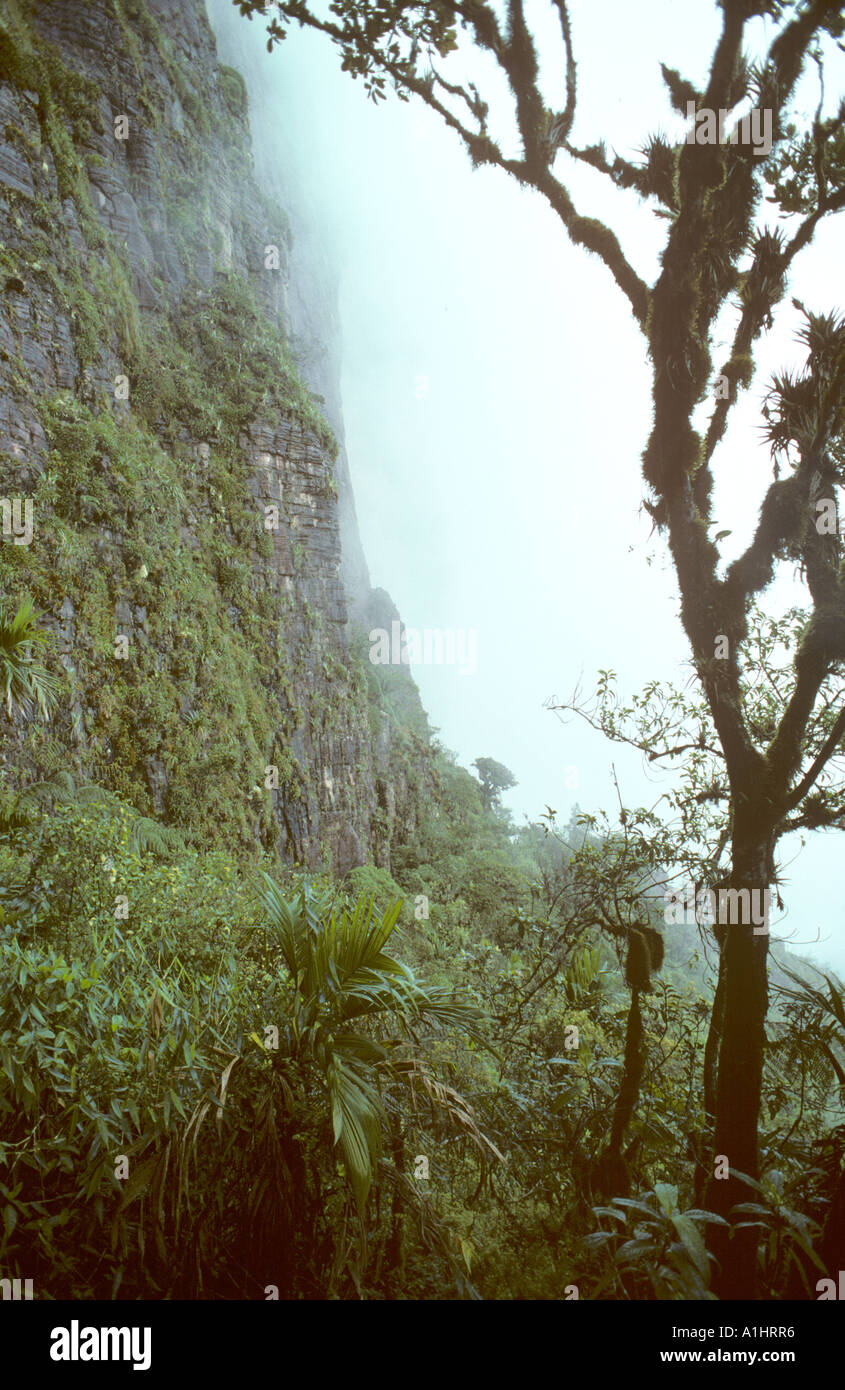 Kukenan Tepui near Monte Roraima in the Gran Sabana Venezuela Stock ...