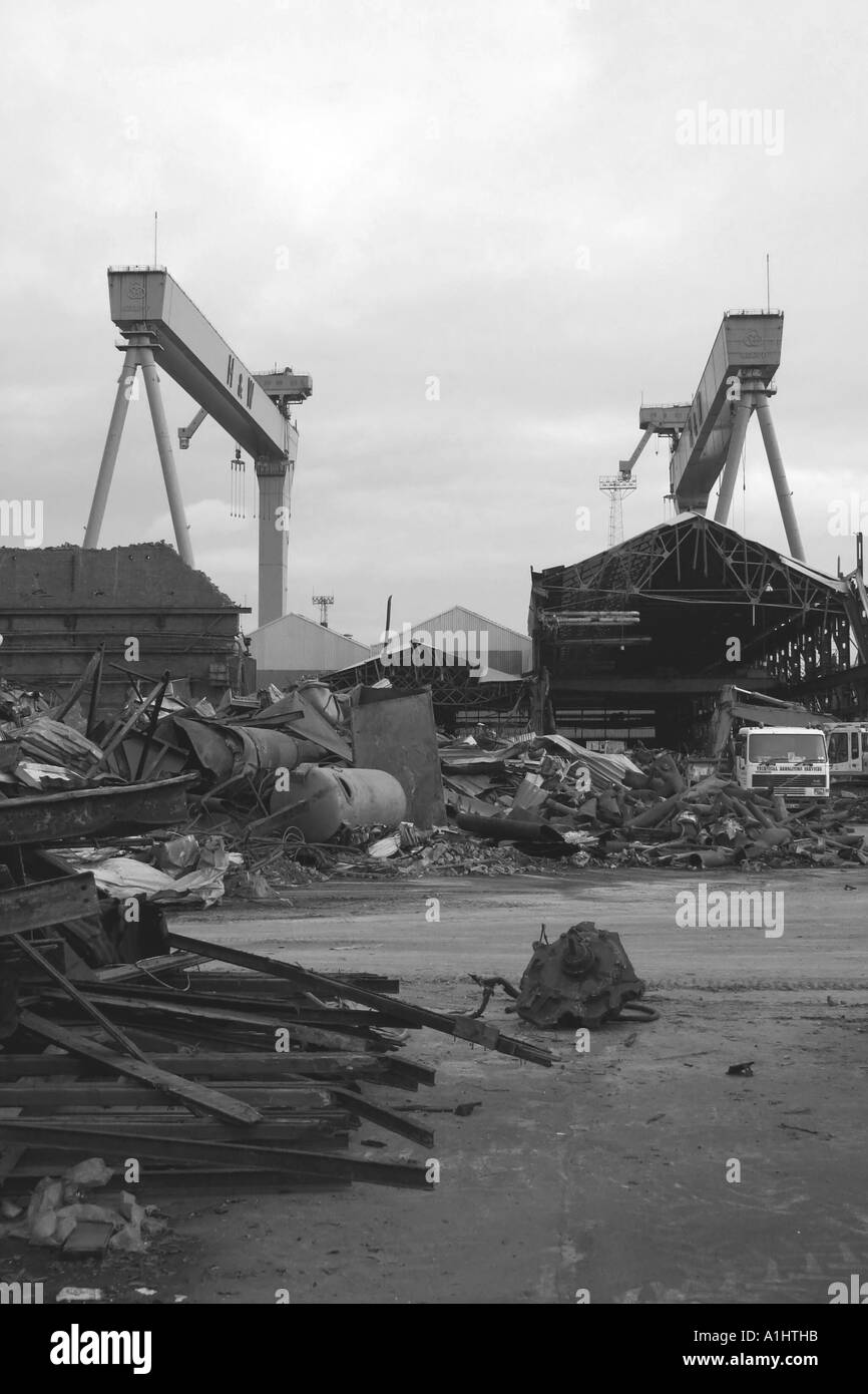 Goliath cranes Black and White Stock Photos & Images - Alamy