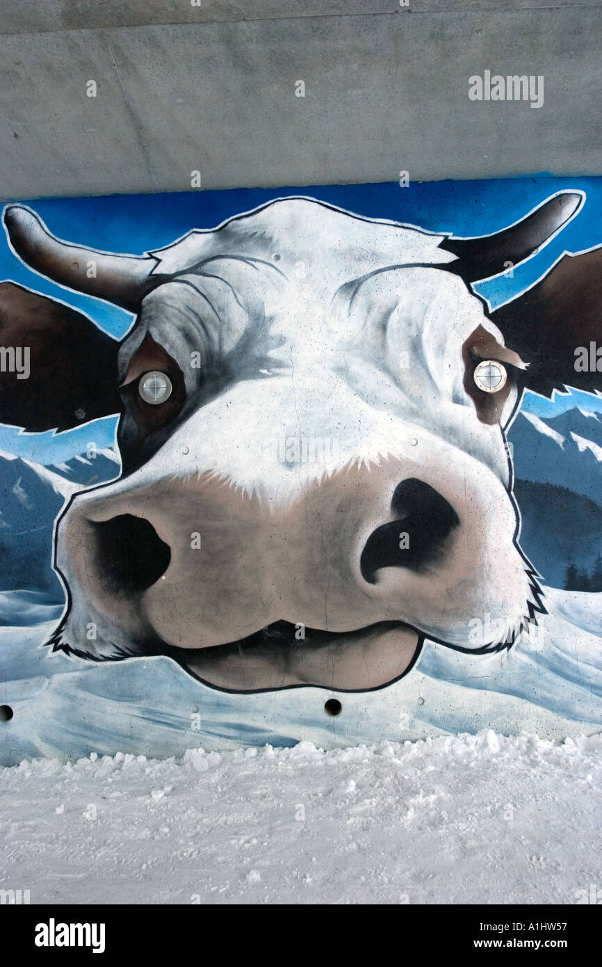 portrait of cpow head and nose in grand bornand alps france Stock Photo ...