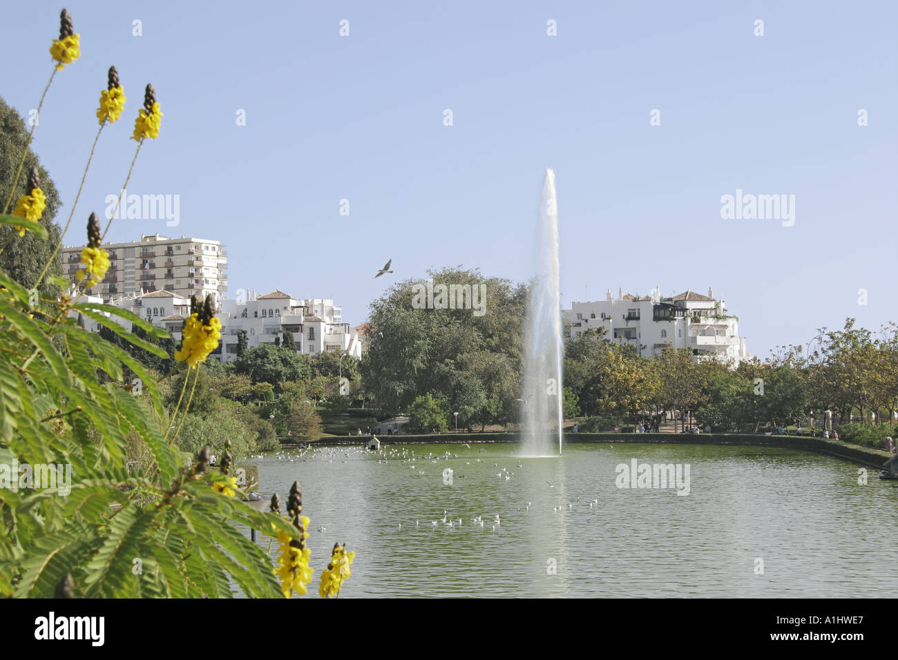 Miel parque hi-res stock photography and images - Alamy