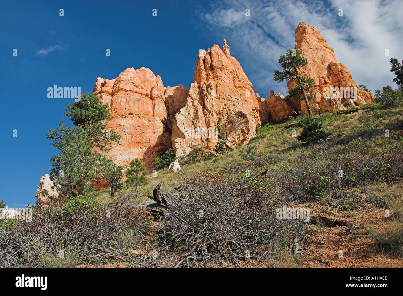 Claron limestone formations hi-res stock photography and images - Alamy