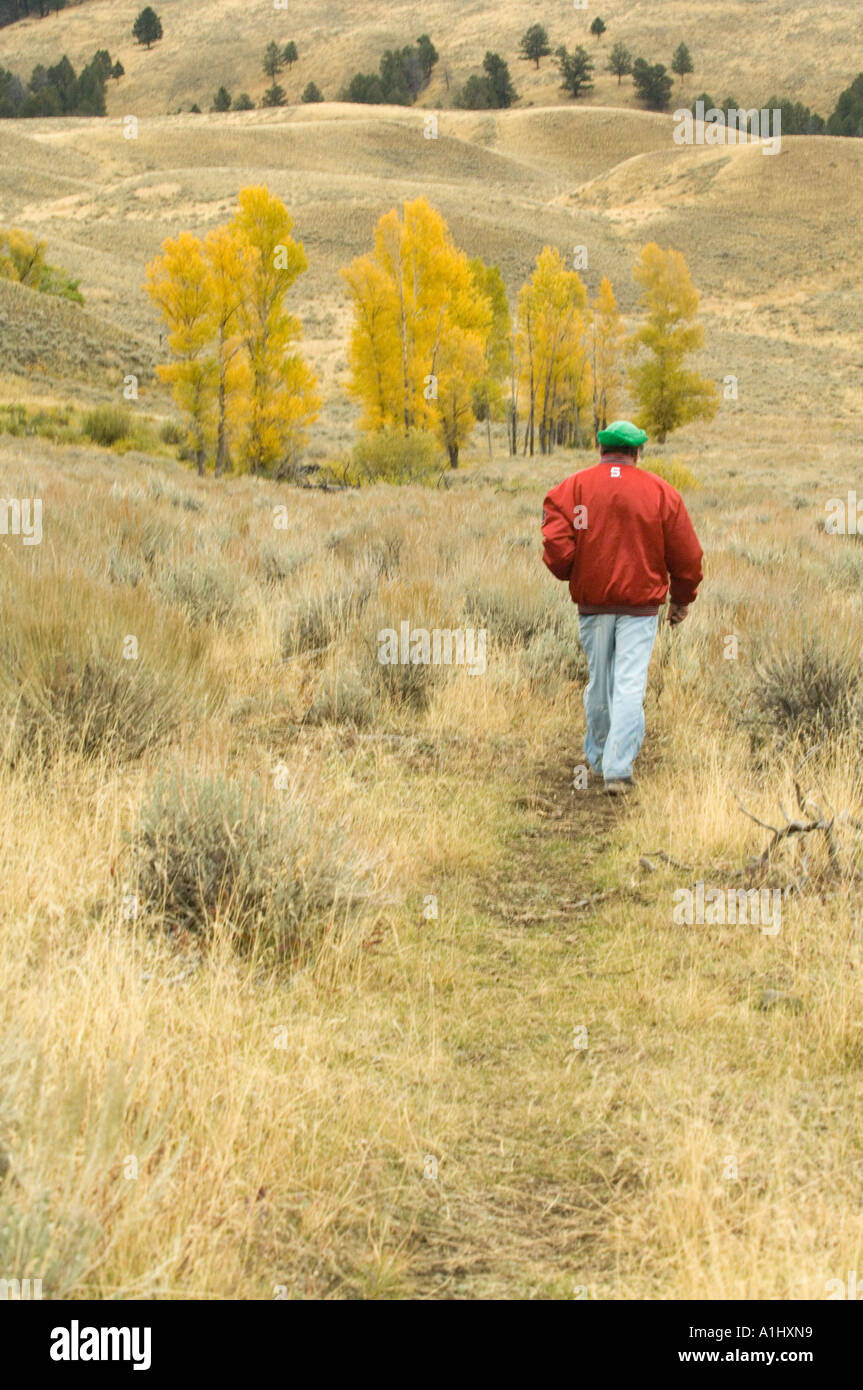 Stan osolinski nature photographer teacher hi-res stock photography and ...