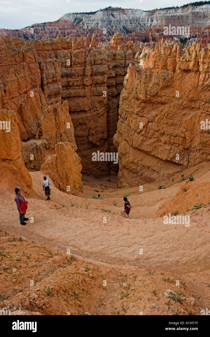 Switchbacks on the Navajo Trail in Bryce Canyon National Park Stock ...