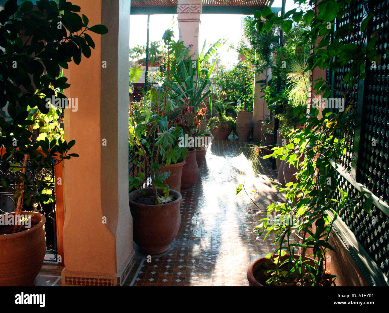 Moroccan riad, rooftop terrace of riad Jnane Mogador, Marrakech ...