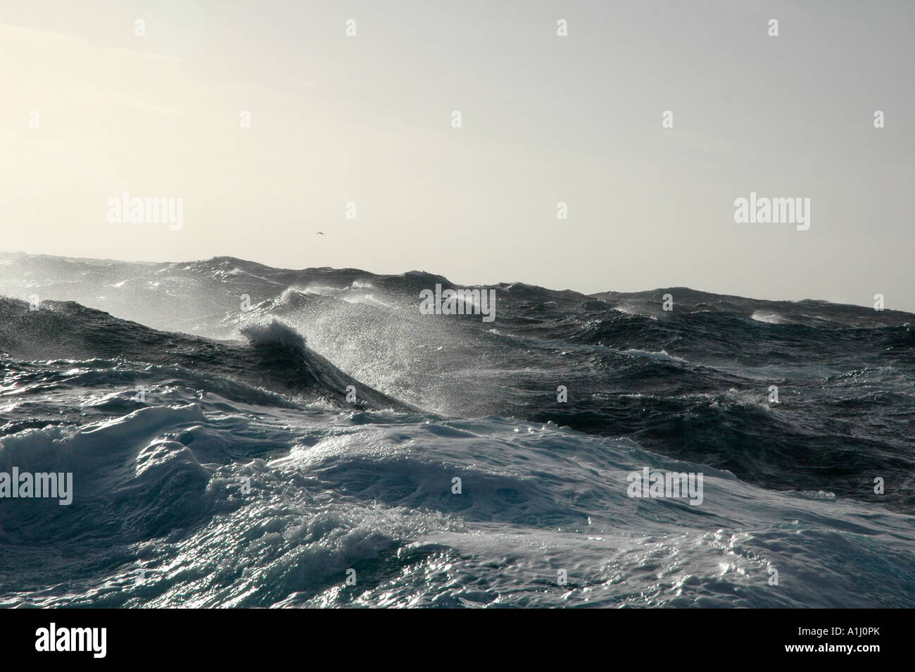 Rough sea crossing the Drake passage Stock Photo - Alamy