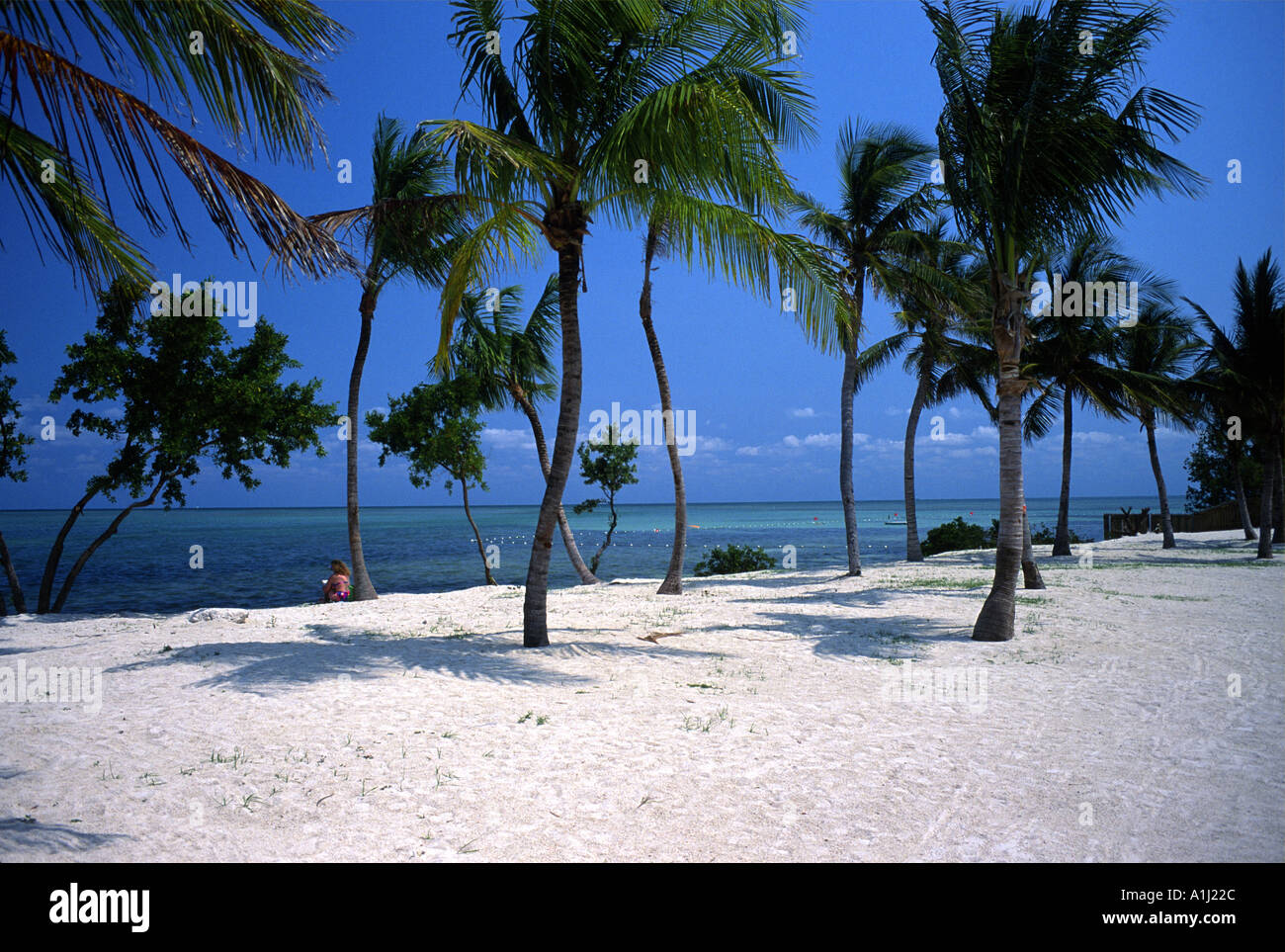 Florida Keys Coast USA United States of America Stock Photo - Alamy