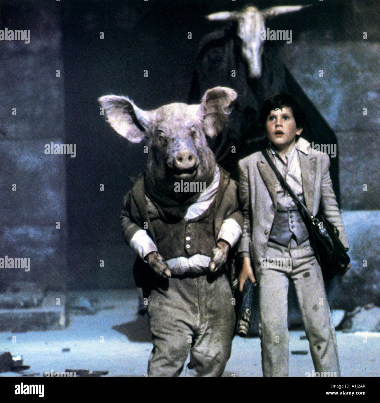 Craig warnock hi-res stock photography and images - Alamy