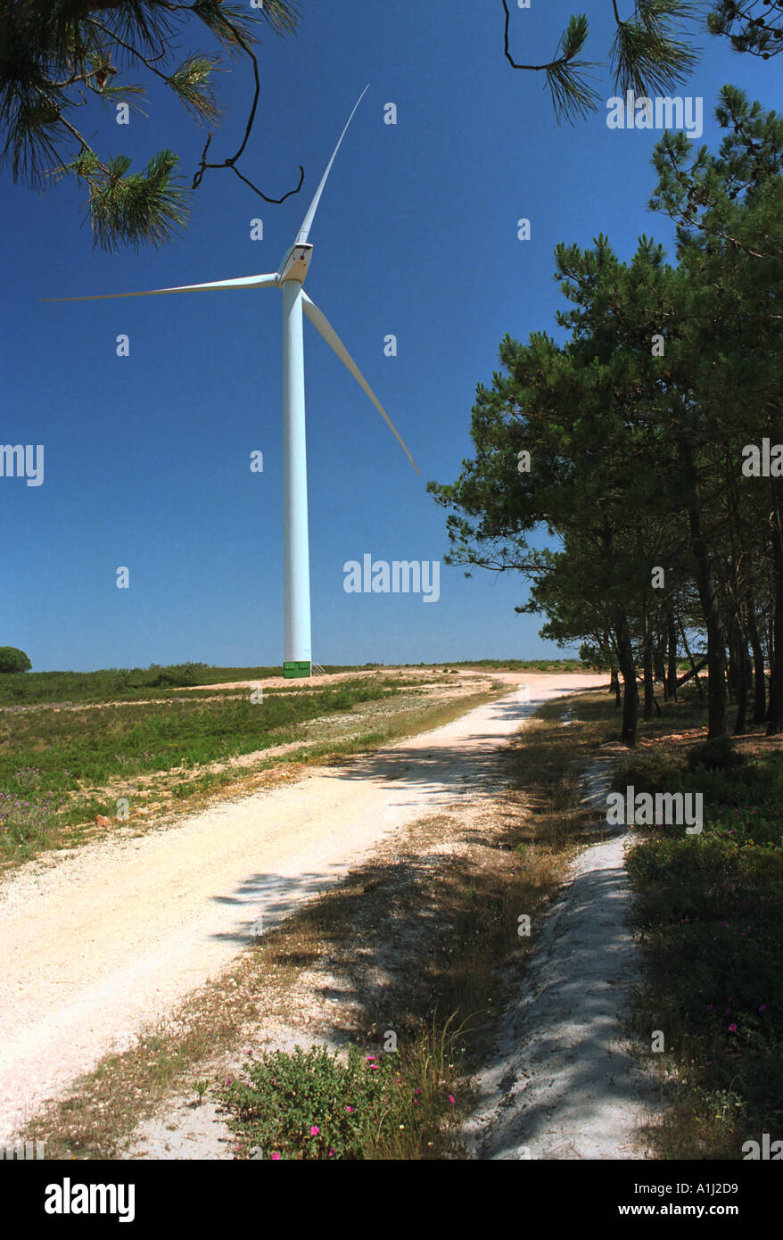 Wind turbine deaths hi-res stock photography and images - Alamy