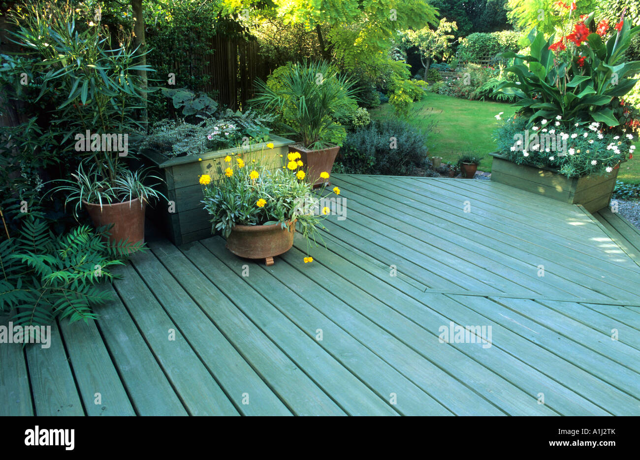 Decking blue green container plants Stock Photo - Alamy
