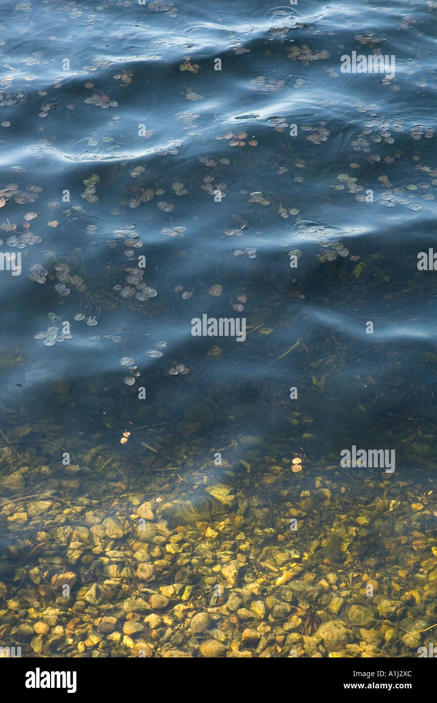 calm ripples in water Stock Photo - Alamy