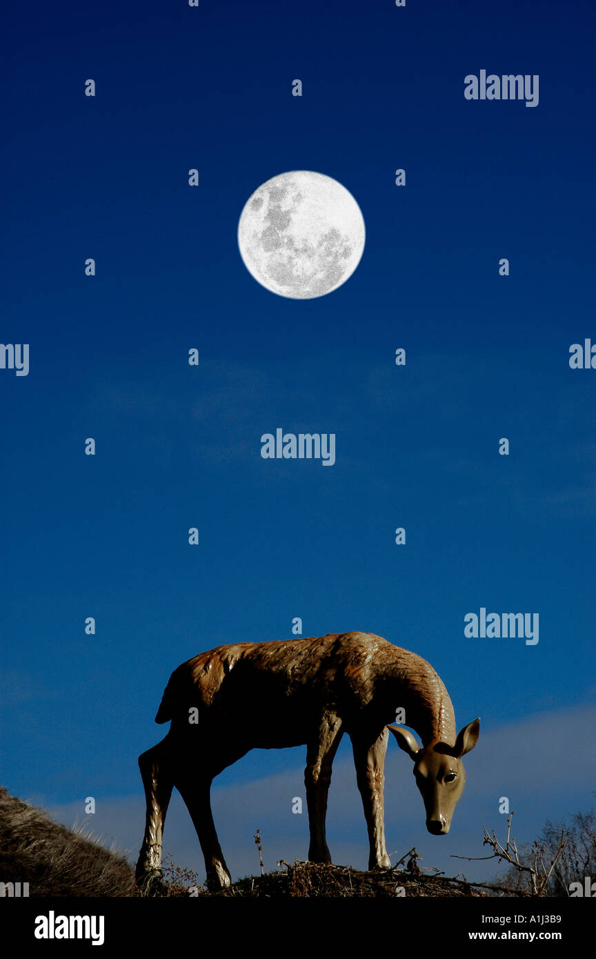 Moon deer hi-res stock photography and images - Alamy