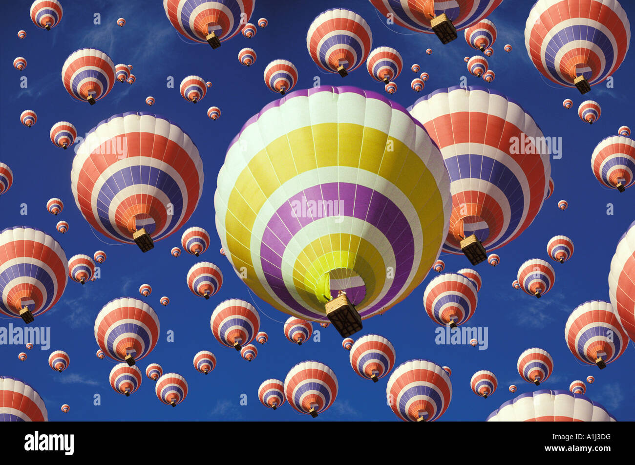 Single yellow hot air balloon amongst hundreds of red hot air balloons ...