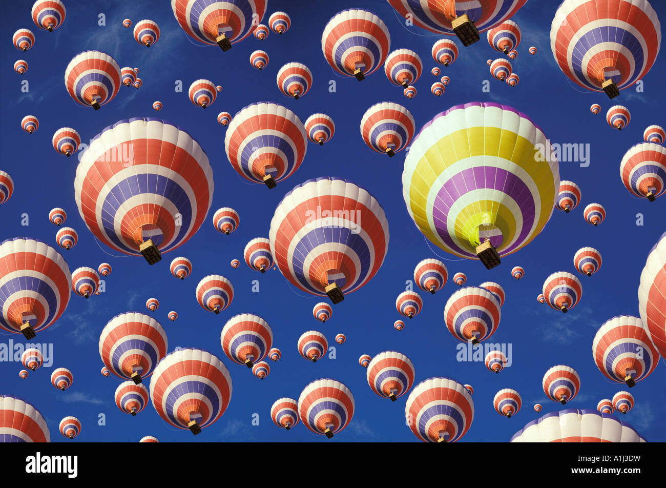 Single yellow hot air balloon amongst hundreds of red hot air balloons ...