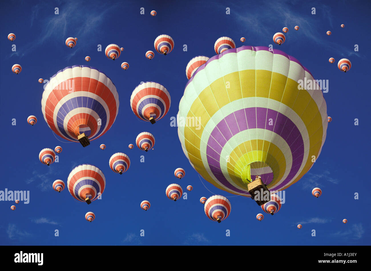 Single yellow hot air balloon amongst hundreds of red hot air balloons ...