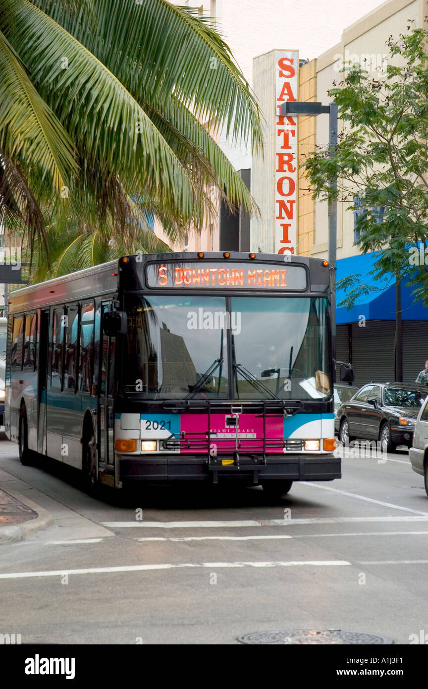 Miami Florida Street Life City Bus Transportation Stock Photo - Alamy