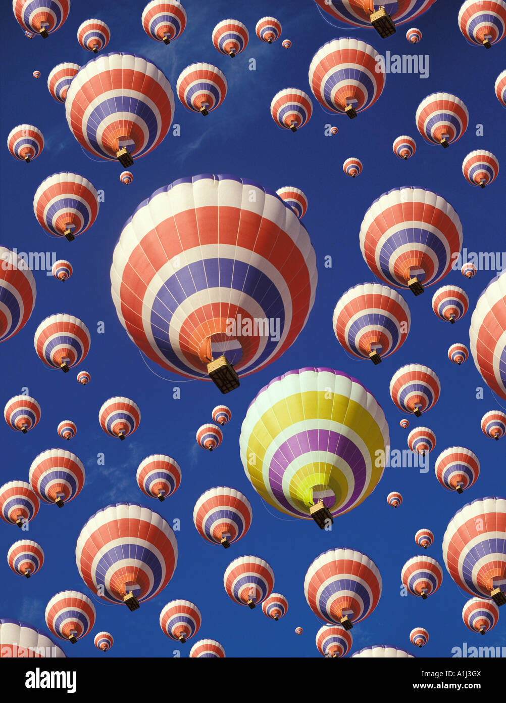 Single yellow hot air balloon amongst hundreds of red hot air balloons ...