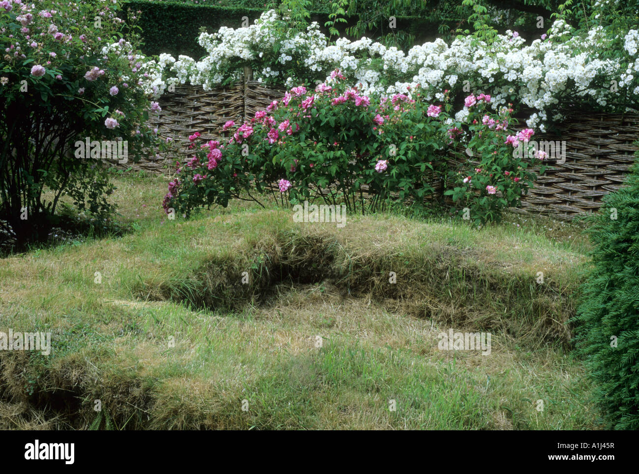 Medieval style turf bank seat wattle fence Mannington Hall Norfolk ...